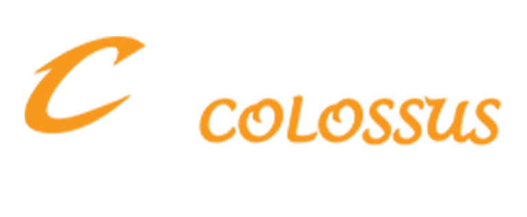 Best IT Services For Your Business : Colossus Ventures
